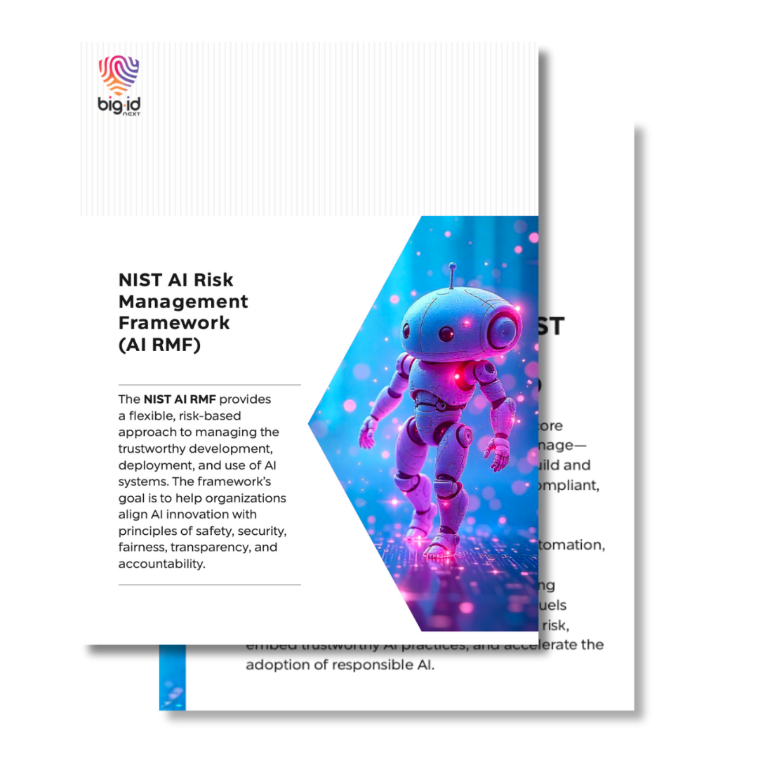 NIST AI RMF Solution Brief